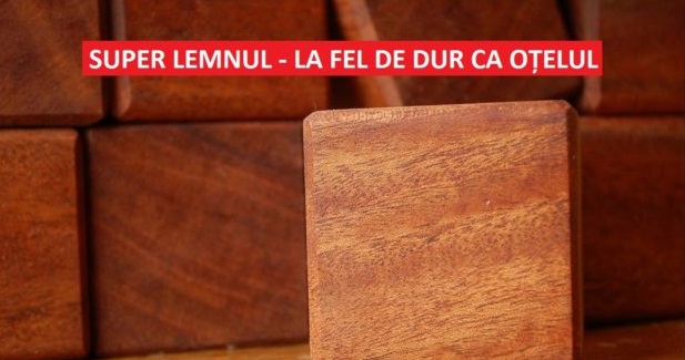 A fost dezvoltat super-lemnul, la fel de dur și de rezistent ca oțelul ...