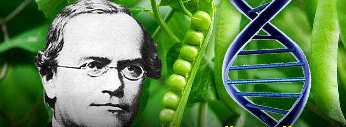 Gregor Mendel, călugărul care a pus bazele geneticii | Cunoaste lumea