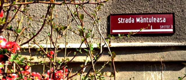 Strada Mântuleasa | Cunoaste lumea