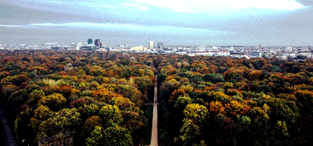 Pădurile de foioase | Cunoaste lumea