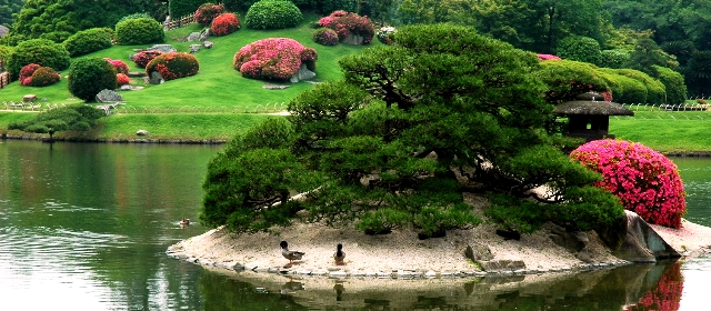 Grădina japoneză | Cunoaste lumea